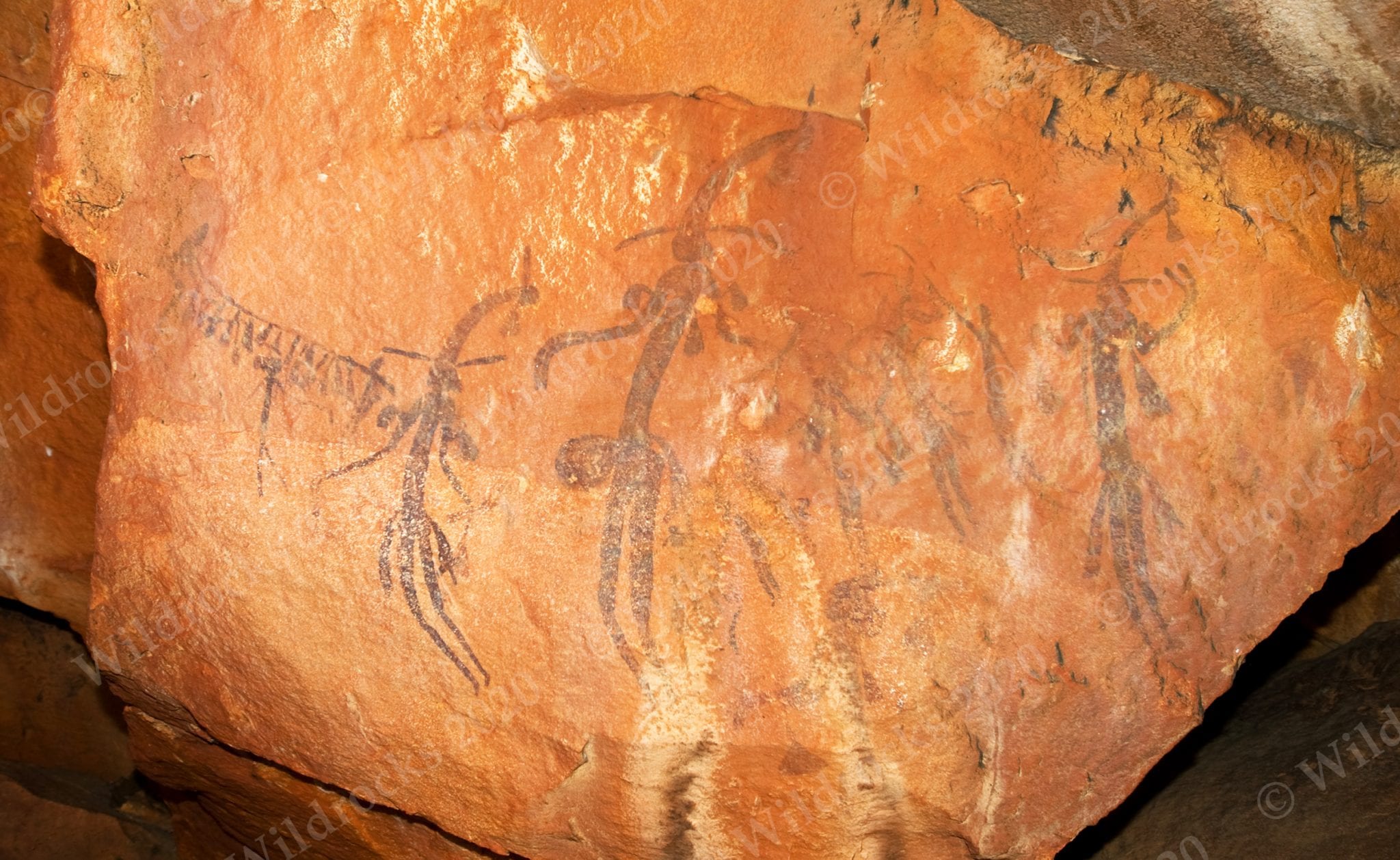 Kimberley Rock Art – Vol 1: Mitchell Plateau Area - Wildrocks Publications